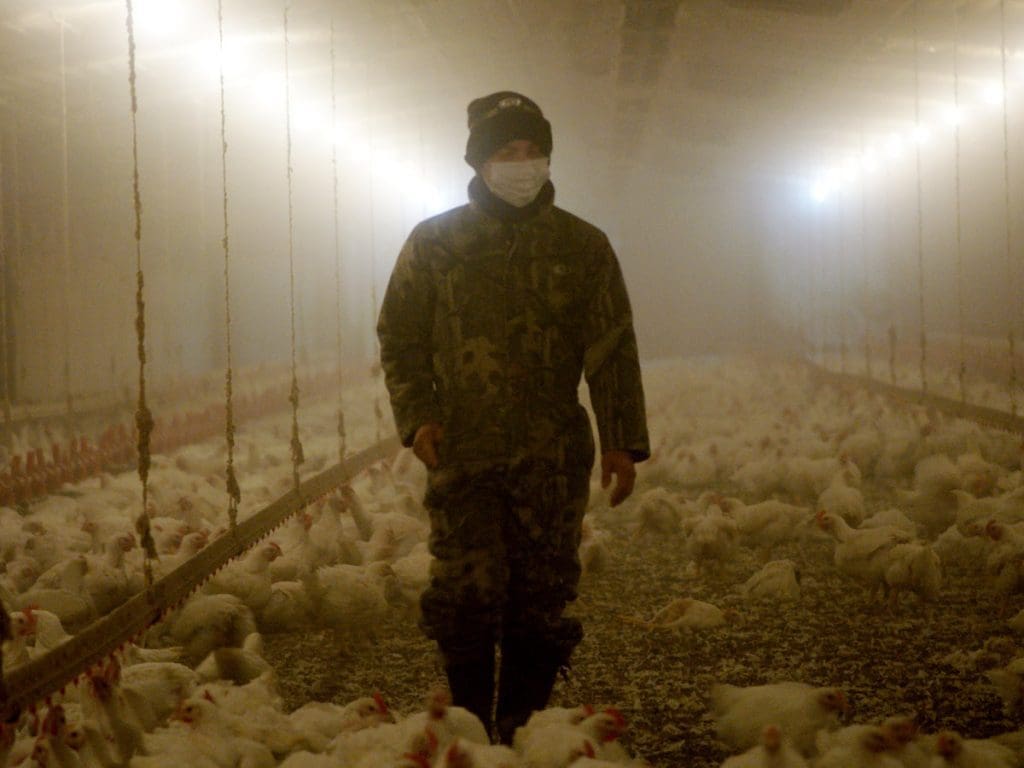 Rotten Season 1 Review