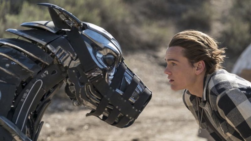 'A.X.L.' | Film Review | Ready Steady Cut