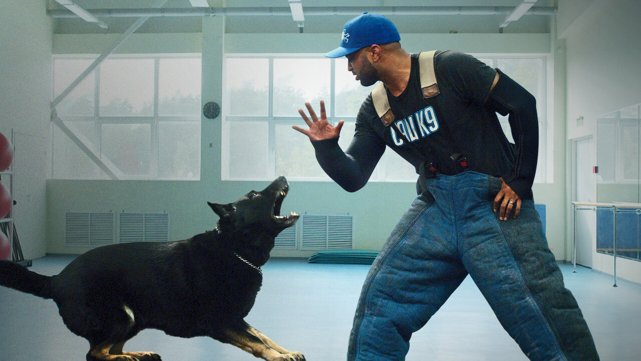 Canine Intervention review - a show about doggo anger management