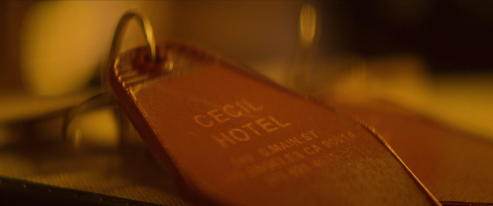 Crime Scene: The Vanishing at the Cecil Hotel Review - constant rabbit ...