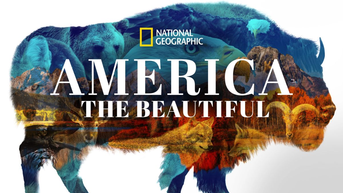 America the Beautiful Review