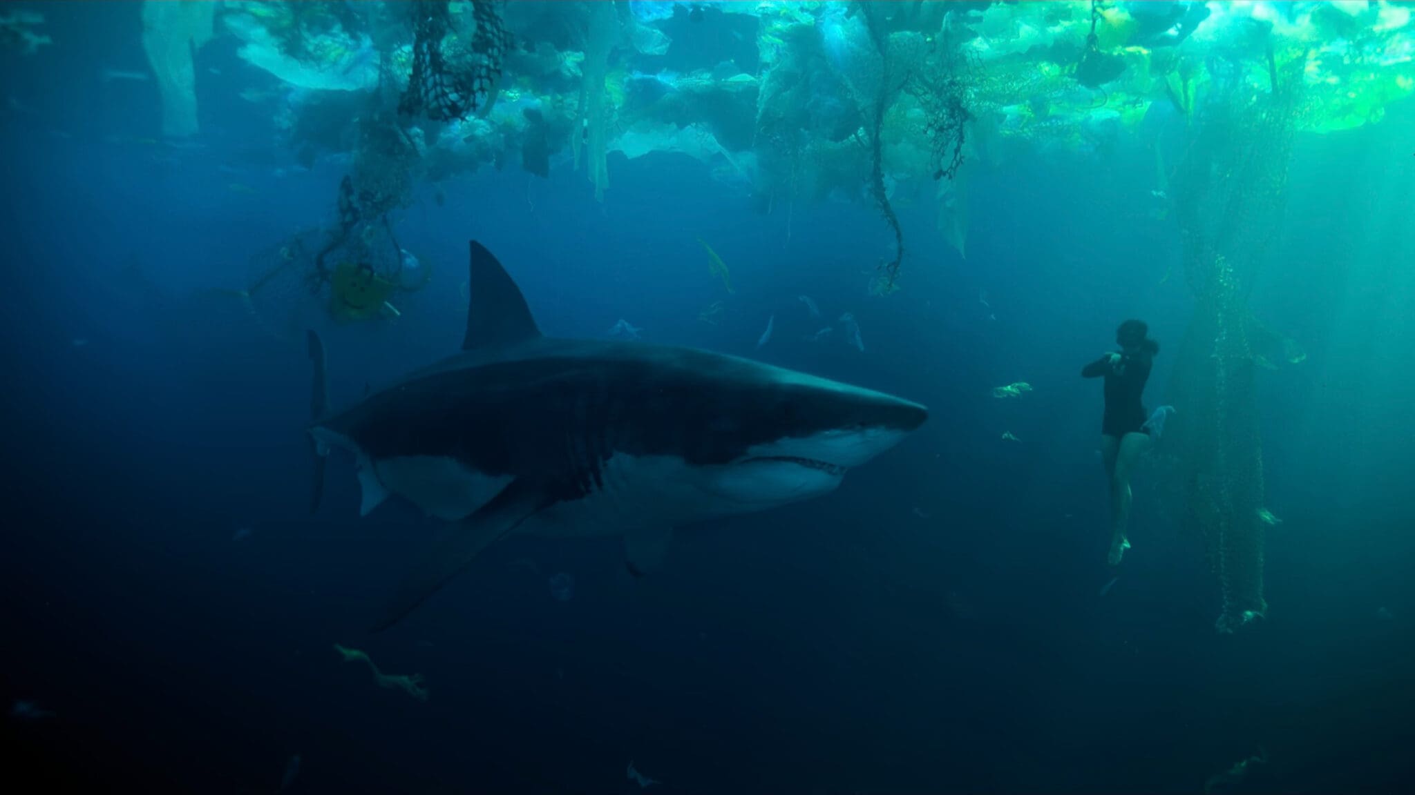 Is Under Paris a true story? Are there sharks in the Seine?