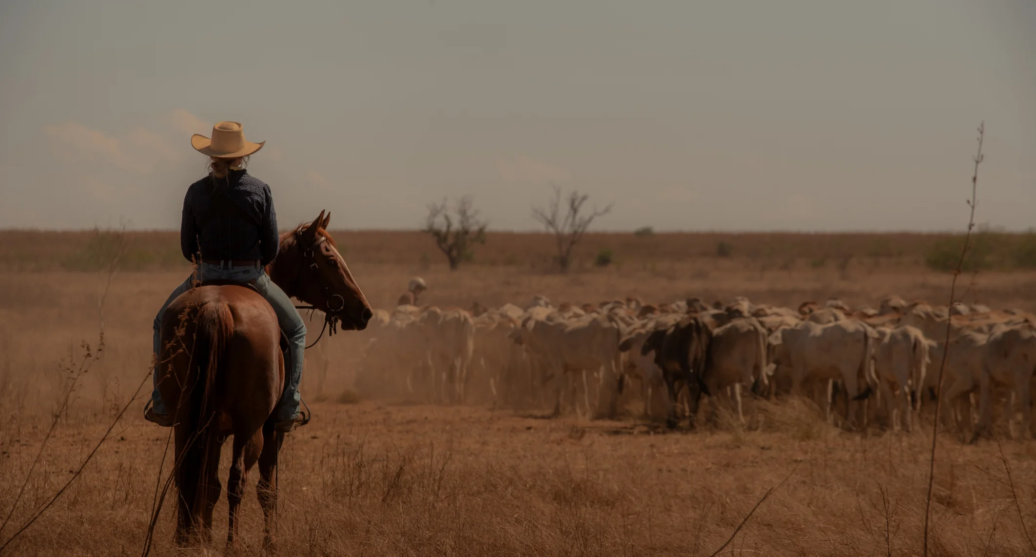 Territory Season 1 Review - It Could Be The Next Succession